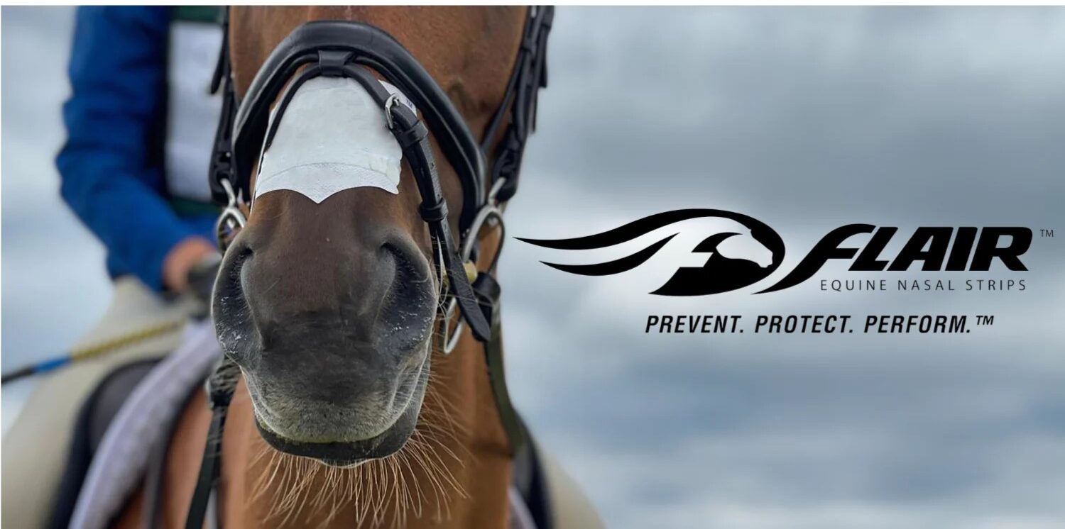 Flair nasel strips - Equine Management - Equine Products for the trade ...