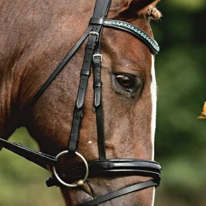 How a Bombers Eggbutt Happy Tongue bit helped a pony STOP crossing his ...