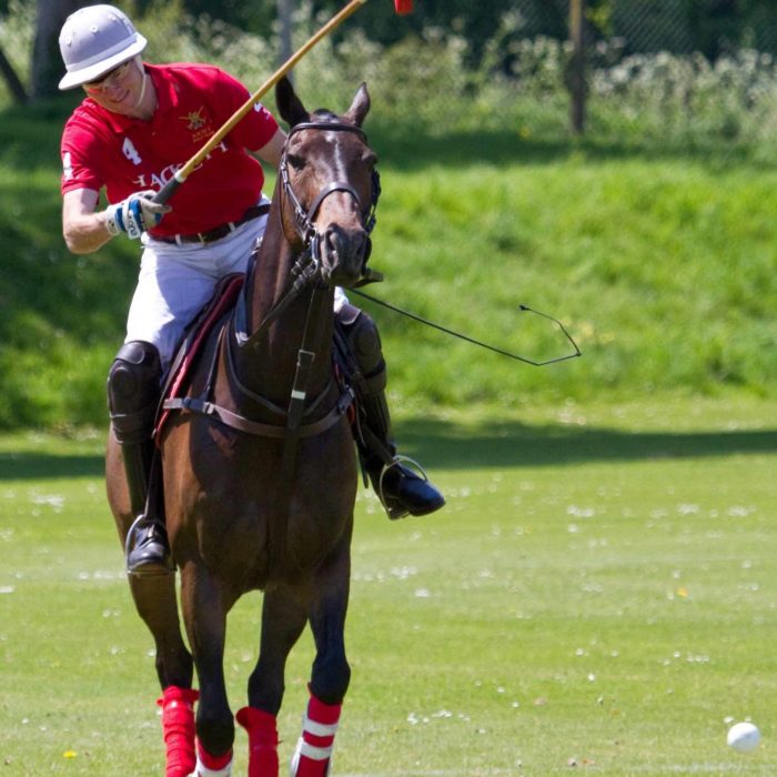 Polo bits! Why we're champing at the bit for a return to play - Equine ...